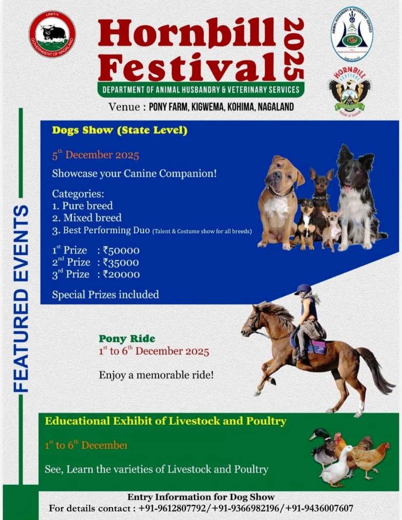 Organizational Structure – ANIMAL HUSBANDRY & VETERINARY SERVICES